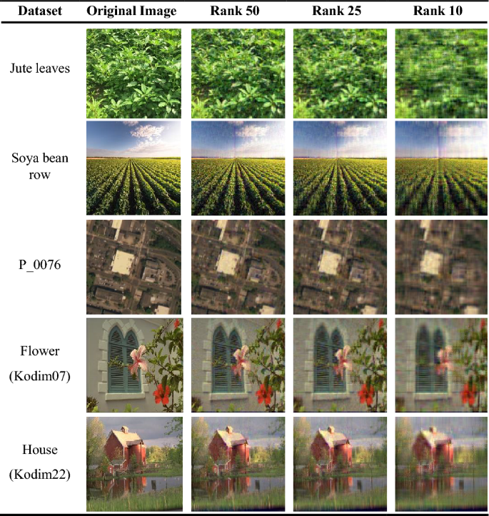 Beta Function Based Compression Method for Crop Image Using Singular Vector Sparse ...