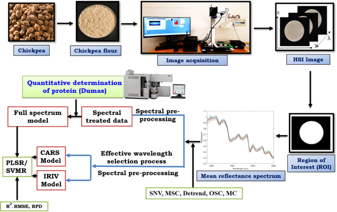 Near-Infrared (NIR) Hyperspectral Imaging Coupled with Chemometrics for ...
