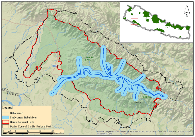 Factors influencing the distribution of the endangered hispid hare in ...