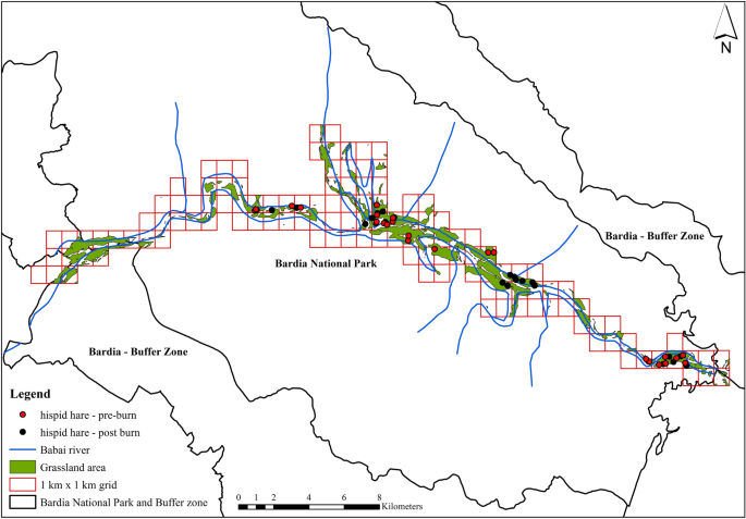 Factors influencing the distribution of the endangered hispid hare in ...