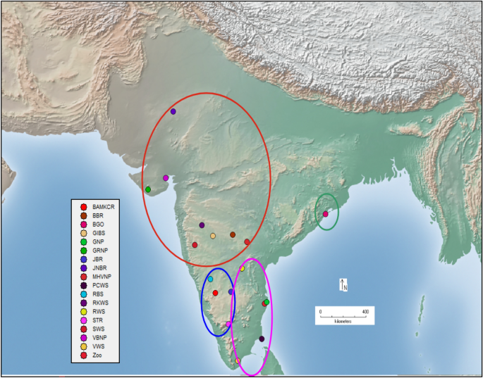 Phylogeographic analysis reveals genetic structure of blackbuck ...