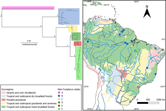 Almost two hundred years of monotypy and a poorly known life history ...