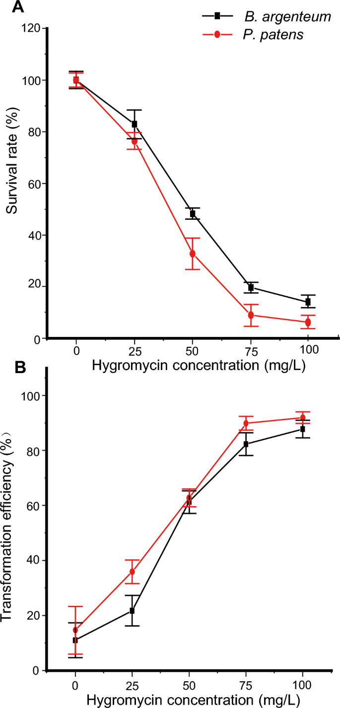 A simple, highly efficient Agrobacterium tumefaciens‐mediated moss ...