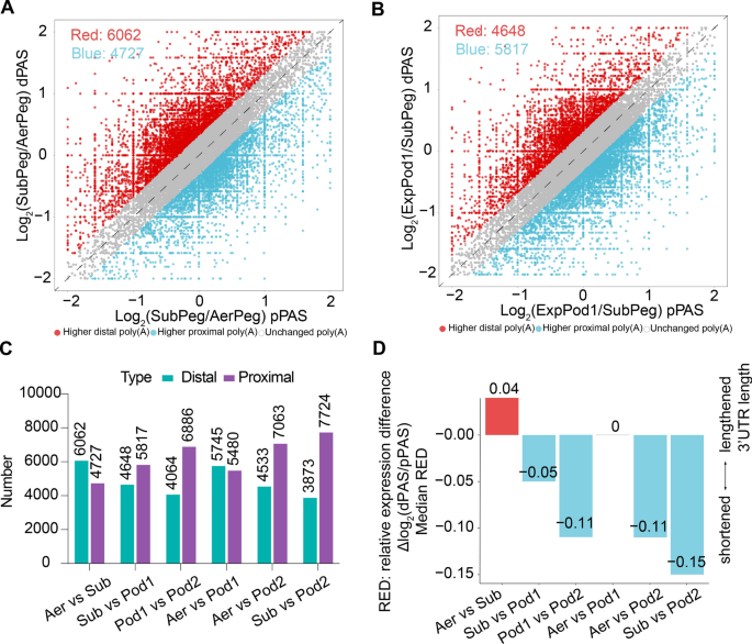 Identification of post-transcriptional regulation reveals complexity in peanut pod development ...