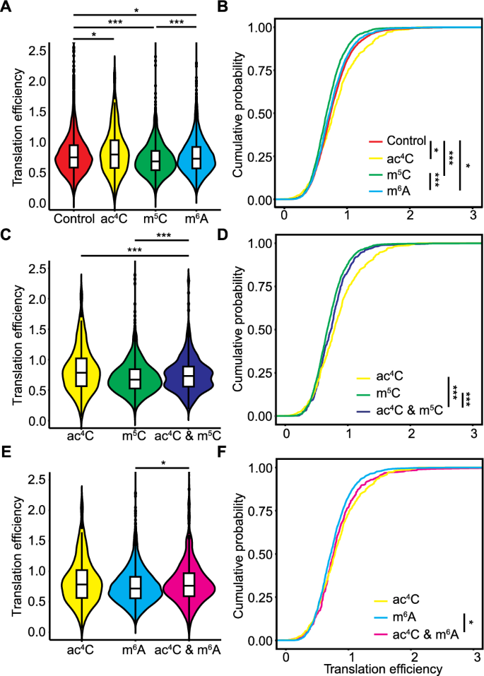 Synergistic function of RNA modifications in Arabidopsis and rice | aBIOTECH