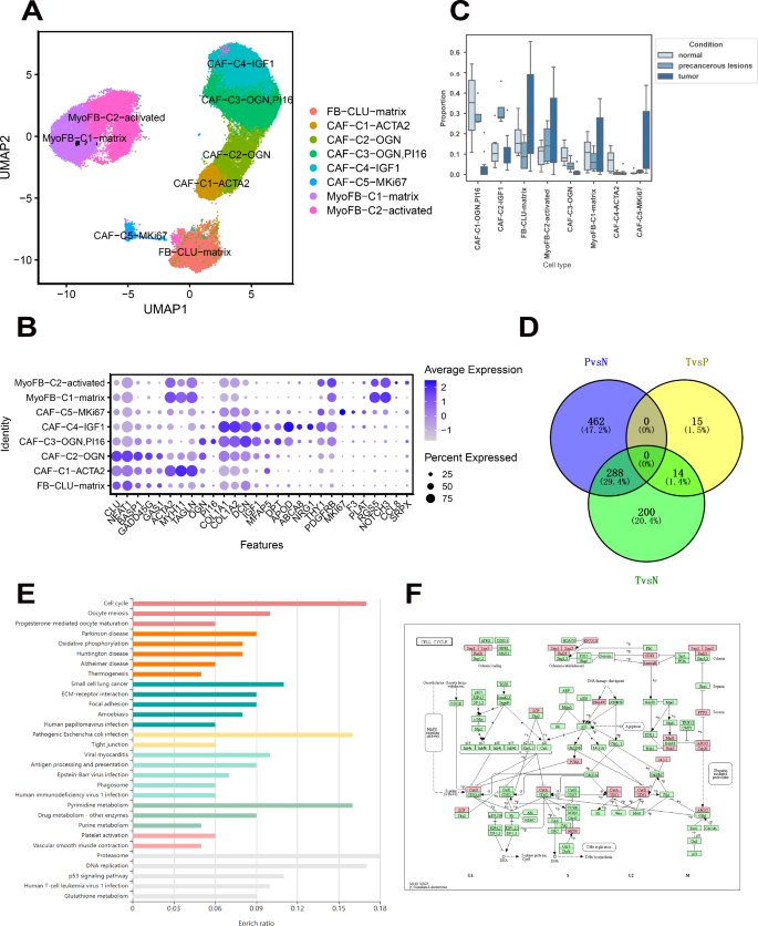 Dissecting the Single-Cell Diversity and Heterogeneity Underlying ...