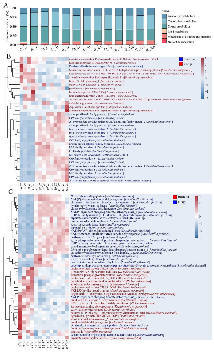 Relationship between microbial protein and amino acid metabolism in ...