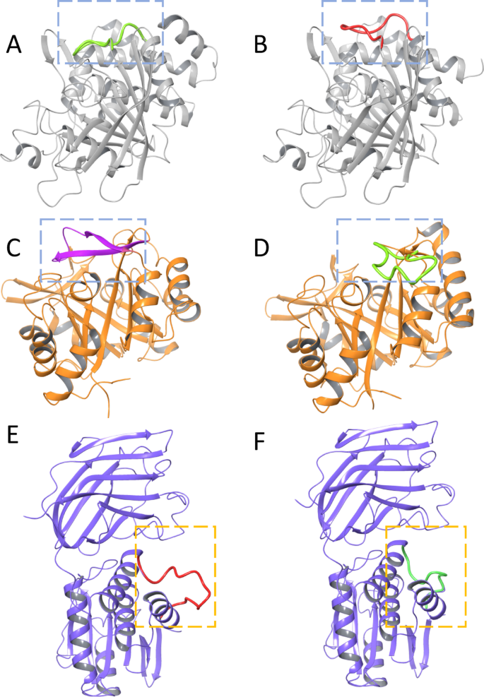 The open-closed transitions within dynamic conformational changes of ...