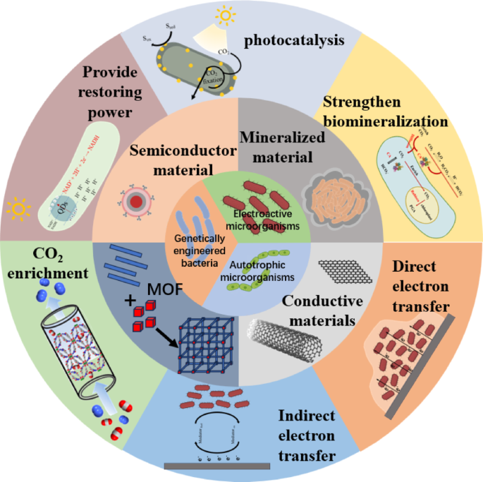 Crystalline material-microbe composite catalyst for CO2 bioconversion | Systems Microbiology and ...