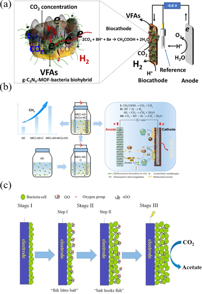 Crystalline material-microbe composite catalyst for CO2 bioconversion ...