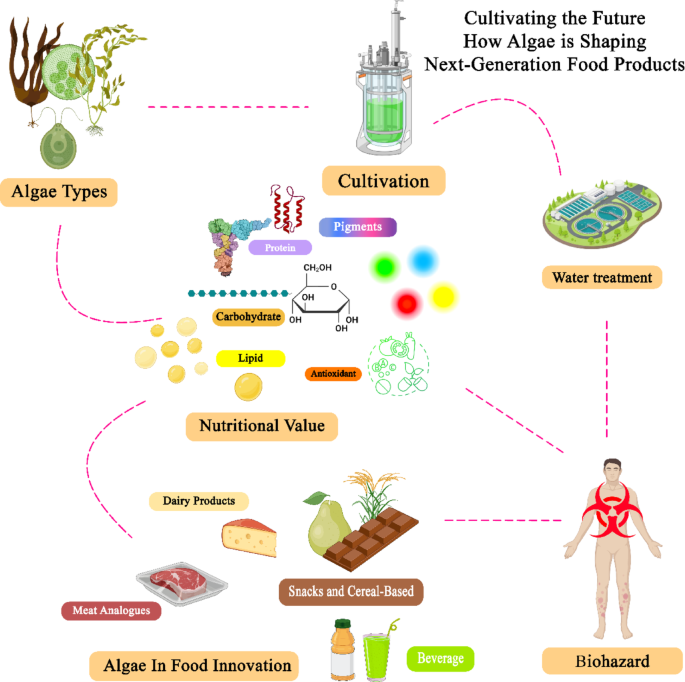 How algae is shaping next generation food products | Systems ...