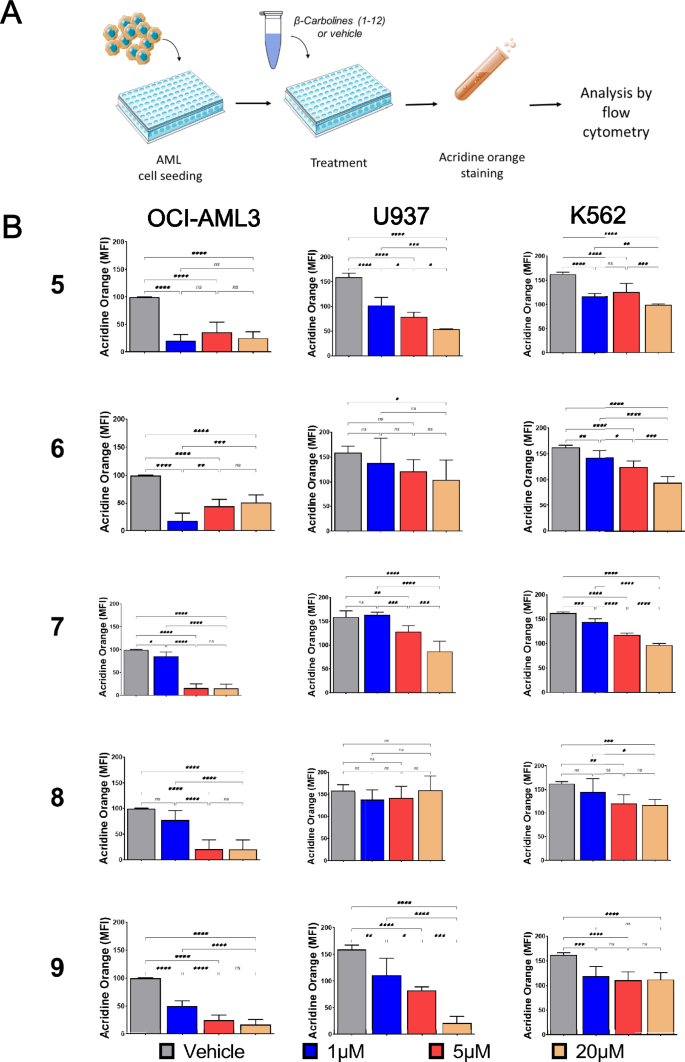 β-Carboline derivatives are potent against Acute Myeloid Leukemia in ...