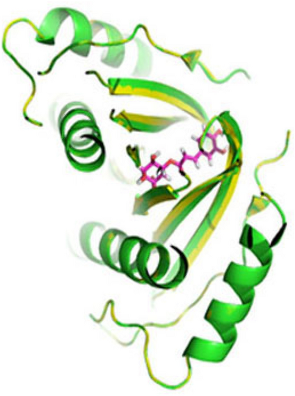 Molecular docking of major secondary metabolites of Pteris vittata L ...
