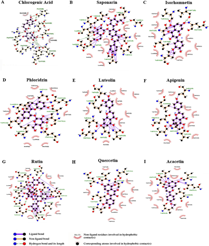 Molecular docking of major secondary metabolites of Pteris vittata L ...