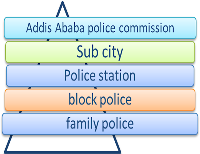 The role of community policing structures in enhancing safety, security ...