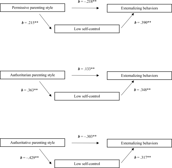 Parenting Styles and Youth’s Externalizing and Internalizing Behaviors: Does Self-Control Matter ...