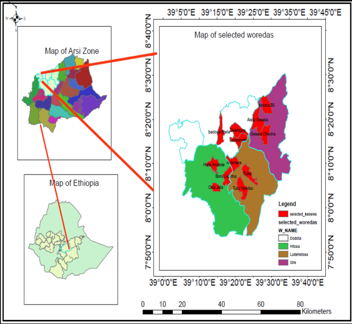 Does the adoption of agricultural machinery improve smallholder farmers ...