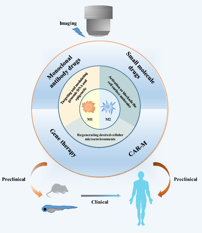 Modulating and Imaging Macrophage Reprogramming for Cancer ...