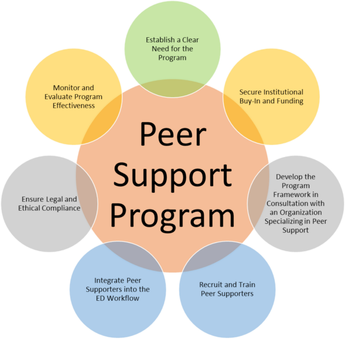 Implementation of a patient-centered, peer support model of care for ...