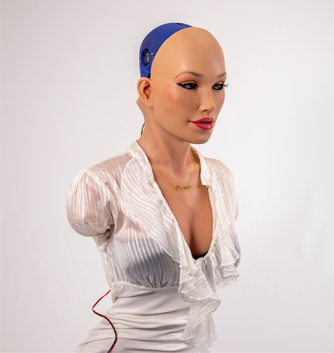 Anthropomorphic Sex Robots Across The Genitalia Computer Interface Ai Generated Lover Persona 3388