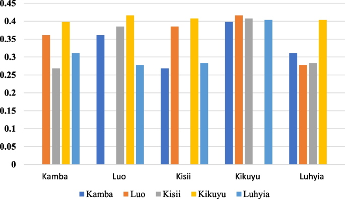 Mapping the spatial patterns of ethnic segregation and its implications ...
