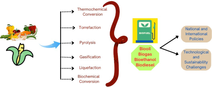 A comprehensive review of advances in bioenergy including emerging ...