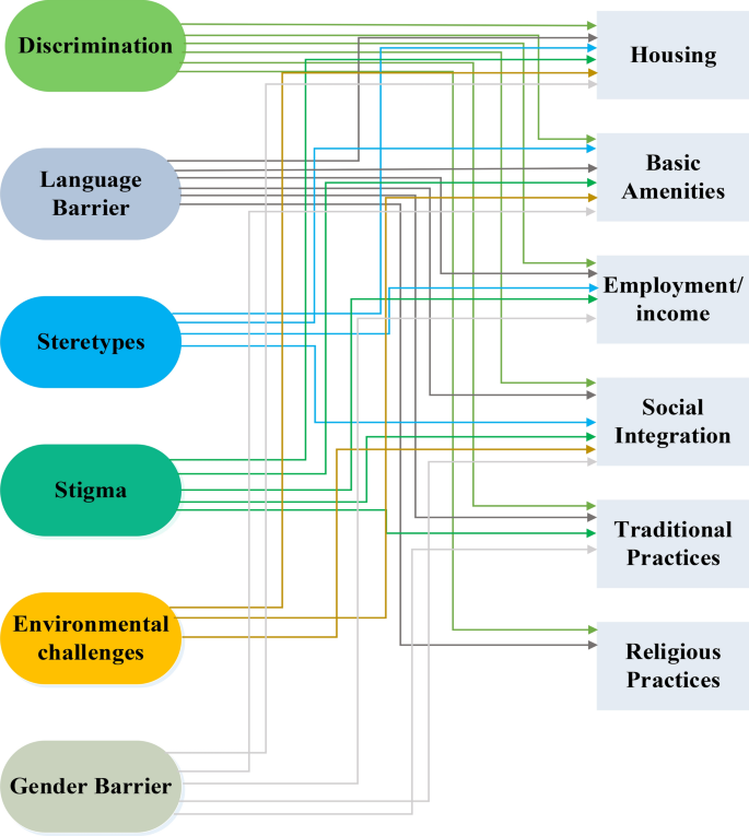 Conflict-induced displacement in Pakistan: a sociological study of ...