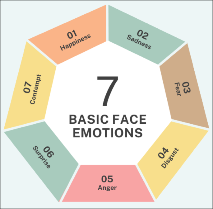 Revolutionizing facial emotion recognition: in-depth analysis of ...