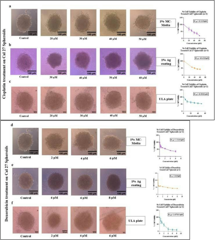 Optimization of OSCC spheroid generation for high-throughput drug ...