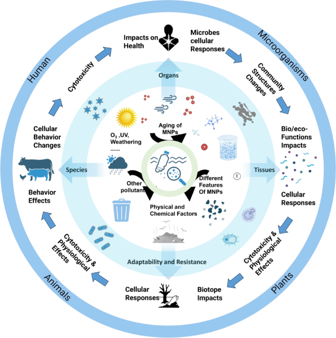 Inclusive Assessment of Micro/Nanoplastics Biological Effects Across ...