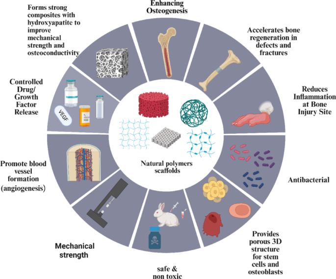 A Narrative Review of the Role of Natural Polymer–Nanoparticle ...