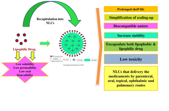 Next-Generation Nanostructured Lipid Carriers: A Review of Latest ...