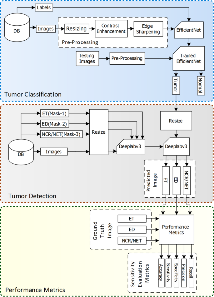 Advanced Brain Tumor Detection Using EfficientNet to Maximize the ...