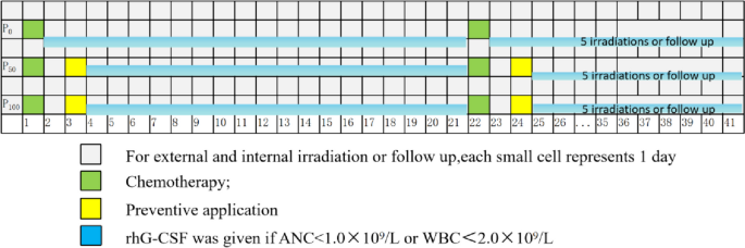 Prospective clinical study of the efficacy and safety of different ...