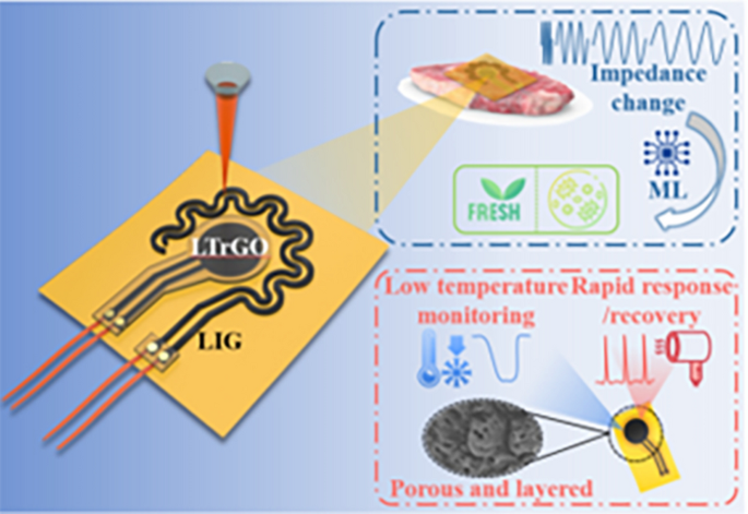 Electrical impedance spectroscopy for non-destructive meat freshness ...