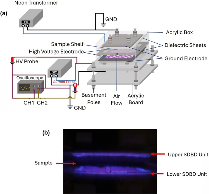 Effect of dielectric barrier discharge cold plasma combined with green ...
