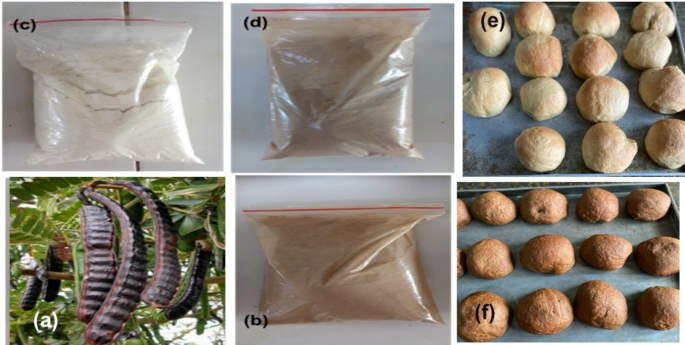 Evaluation of rain tree (Samanea saman) pod flour characteristics and ...