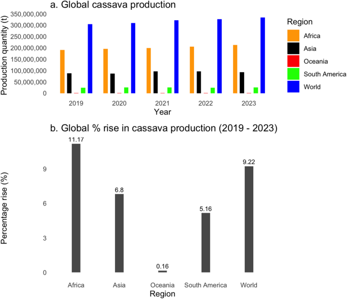 A review of global cassava (Manihot esculenta Crantz) production trends ...