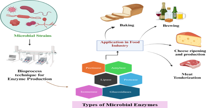 Advances in microbial enzyme technology for food processing strategies ...