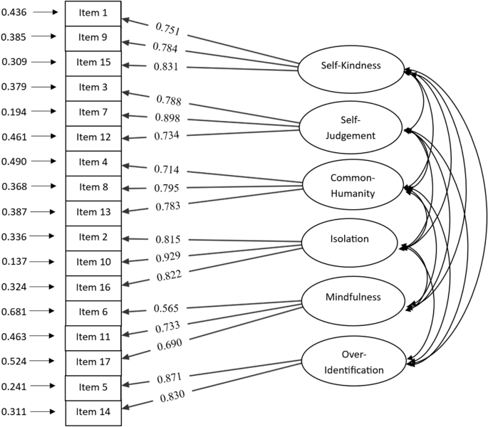 Exploring factors and demographic variability of the self-compassion ...