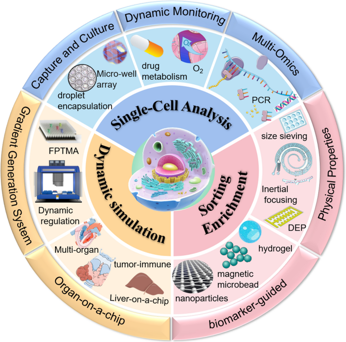Advances in microfluidic chip technology for cell analysis | Analytical ...