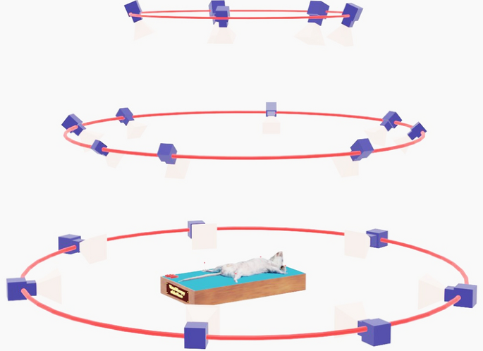 Exploring mouse necropsy through augmented reality: developing a web ...
