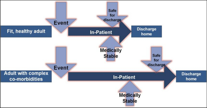 Aotearoa New Zealand health leader’s opinions on the implementation of ...