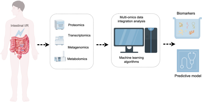Multi-omics analysis and machine learning in the study of intestinal ...