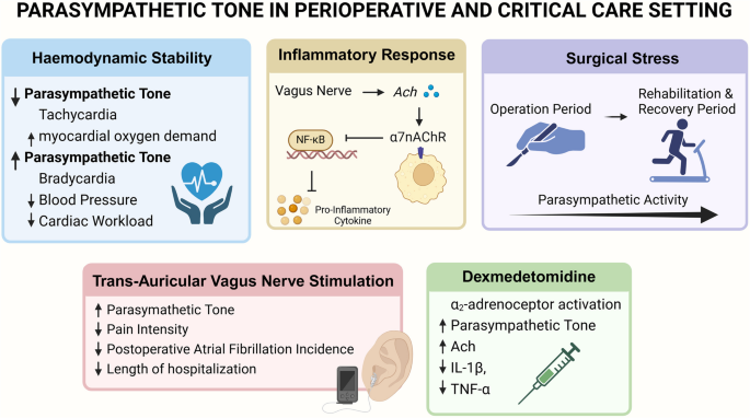 Parasympathetic tone in perioperative and critical care setting: is it ...