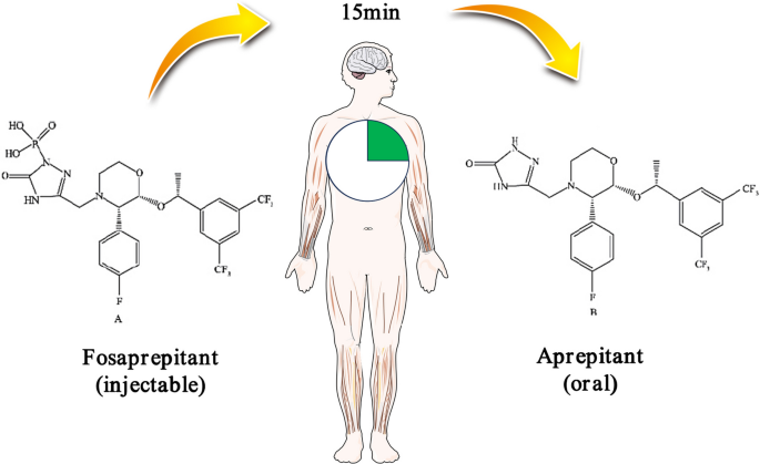 Prophylactic effect of fosaprepitant on postoperative nausea and ...