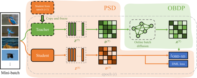 Improving deep metric learning via self-distillation and online batch diffusion process | Visual ...