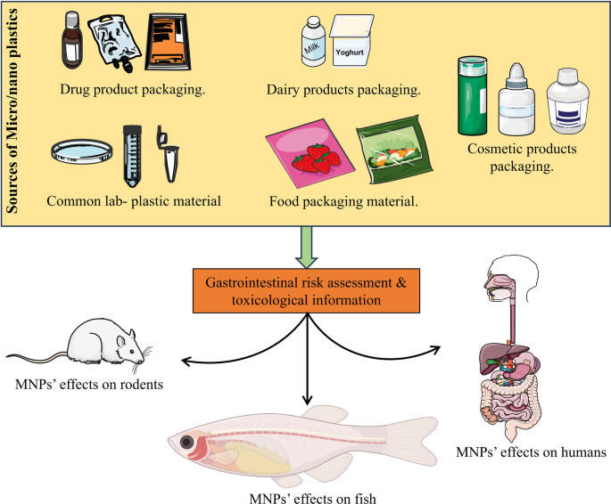 Microplastics and health hazards: gastrointestinal risk assessment ...