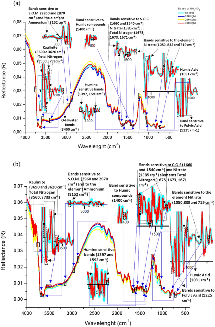 Analysis of organic and mineral nitrogen, total organic carbon and ...