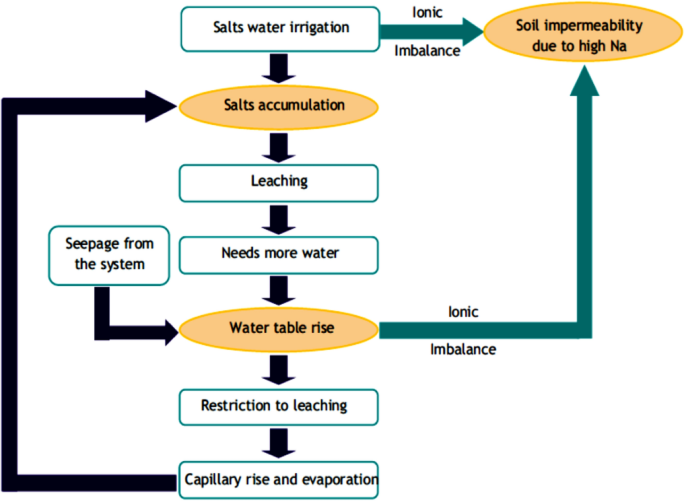 Rehabilitation of soil salinity and sodicity using diverse amendments ...